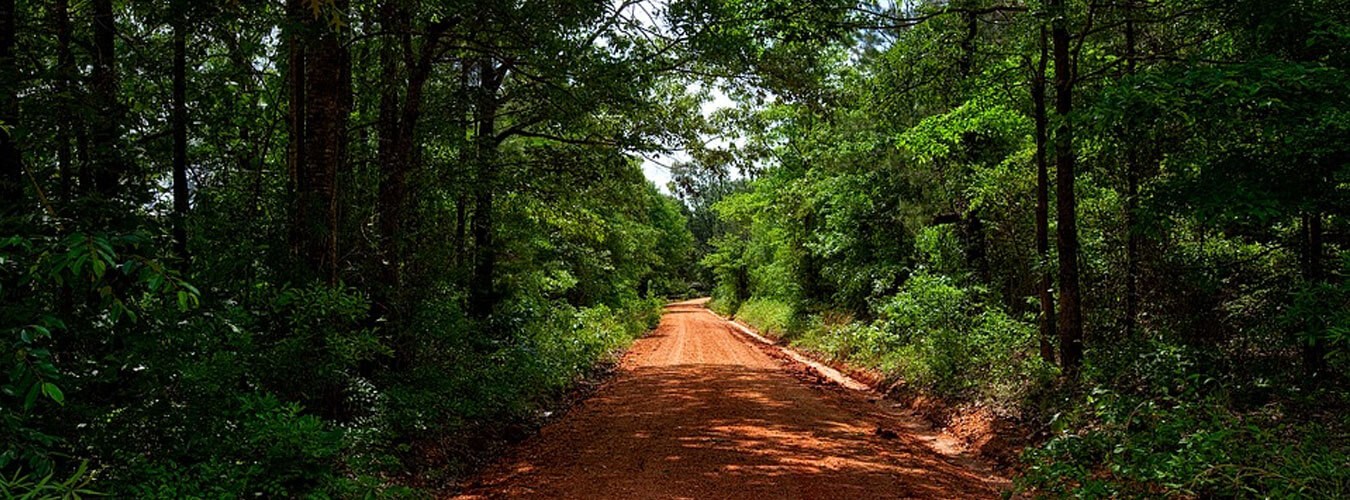 A Guide To National Parks In Alabama - Latest Guide