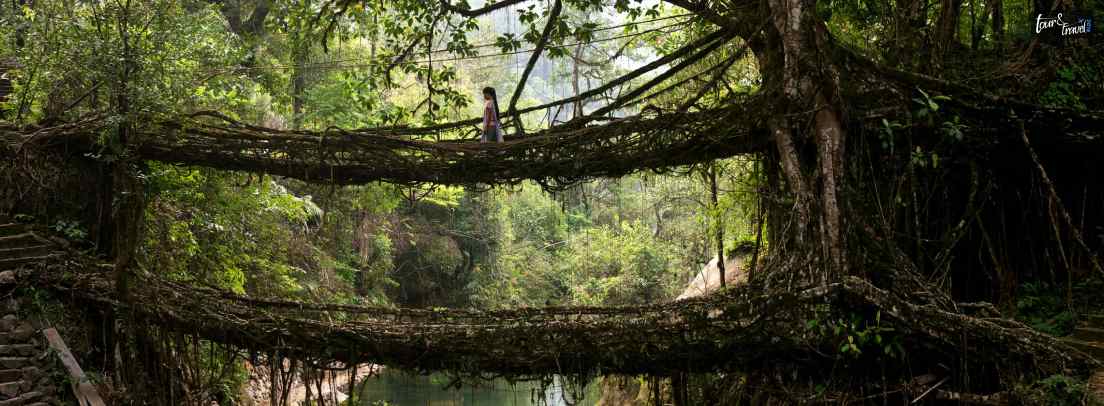 What Are The Places To Visit In Meghalaya? - Travel Guide