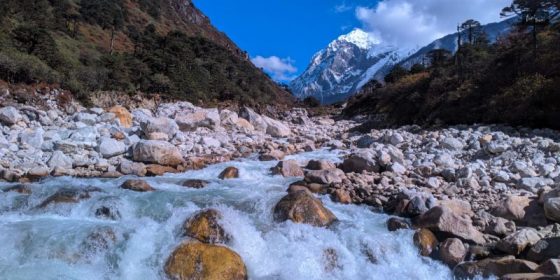 Which Is The Best Time To Visit Sikkim? - Travel Guide