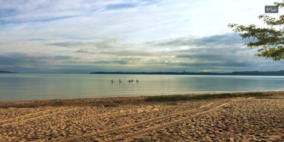 A Guide To Traverse City Beach - 10 Best Beaches To Explore