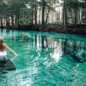 Planning A Trip To Ginnie Springs In Florida? | T&TB