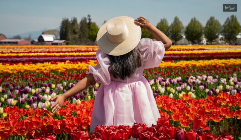 Top Things to Do in Washington State - Washington Bucket List