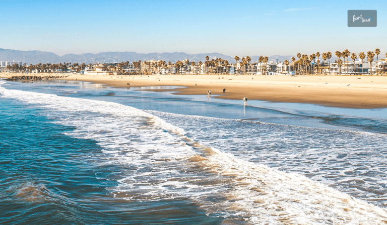 Things To Do In Venice Beach: Is Venice Beach LA Worth It?