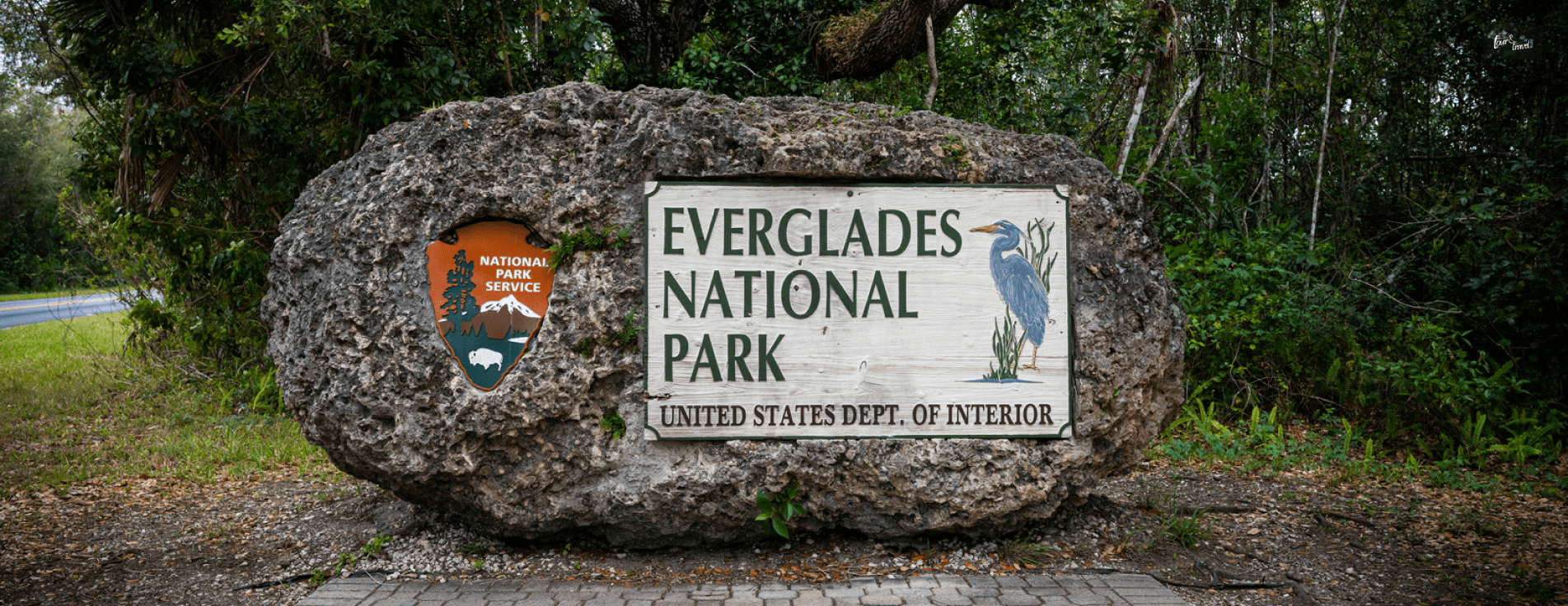 Visiting Everglades National Park: Indulge In Sheer Tranquility
