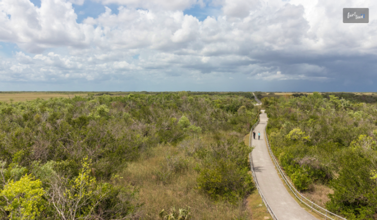Visiting Everglades National Park: Indulge In Sheer Tranquility