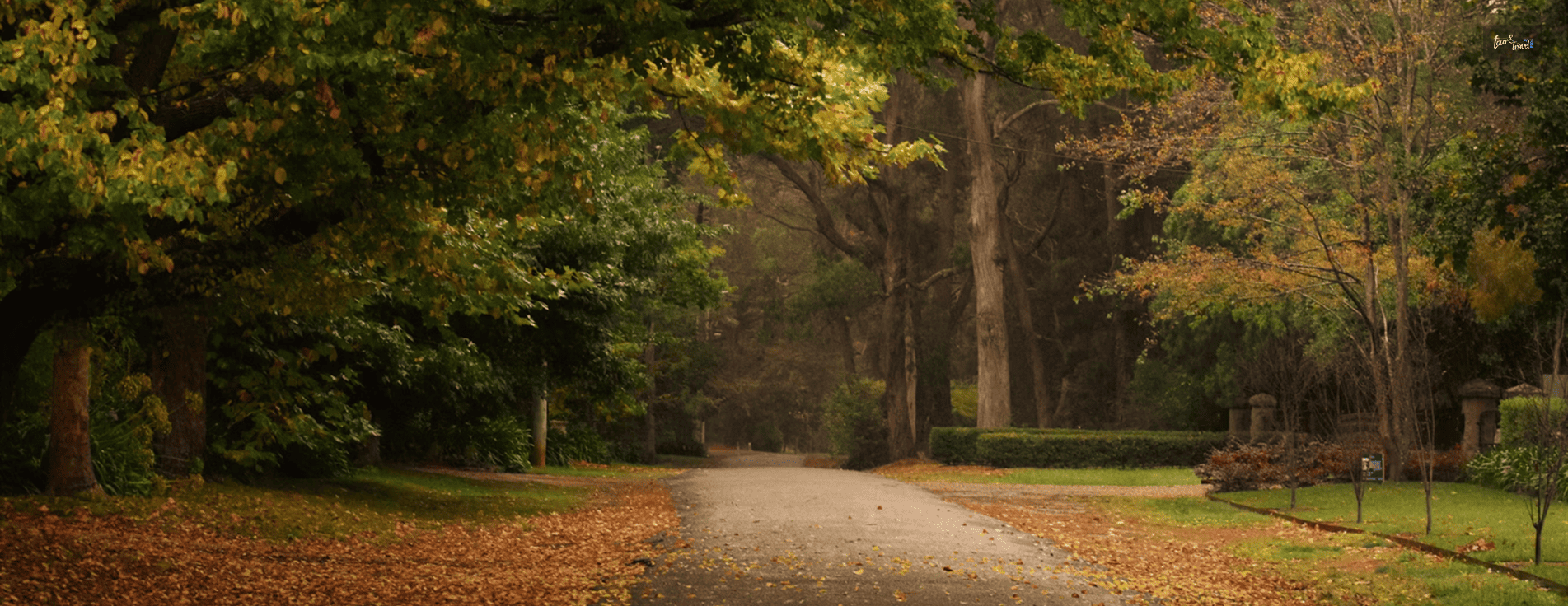 Learn About the Exciting Things to Do in Bowral!
