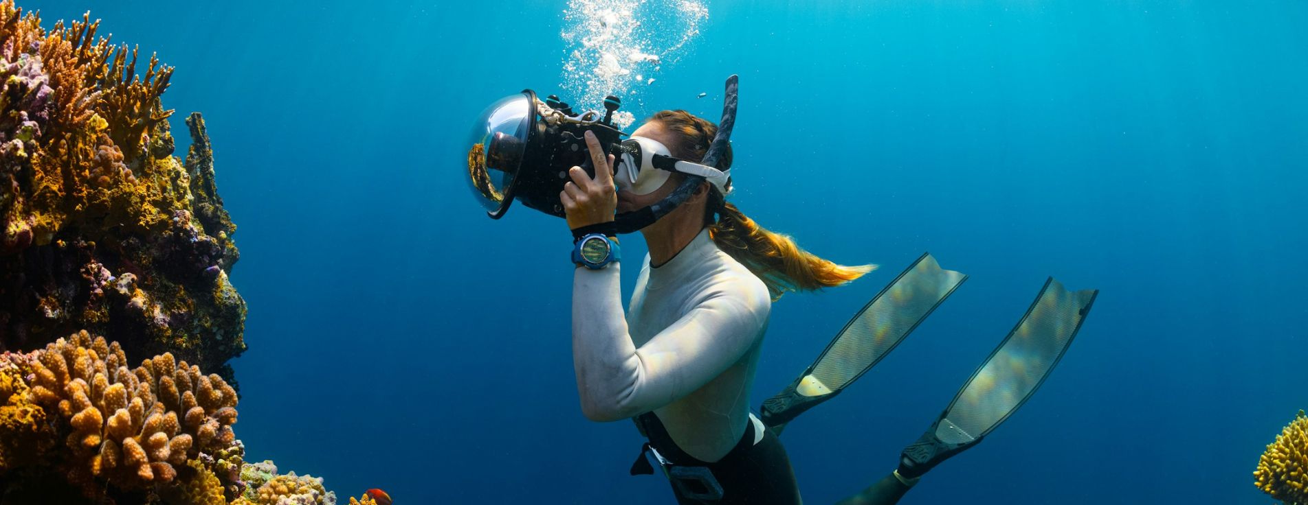 Why Scuba Dive In Utah Should Be Your Next Underwater Adventure?