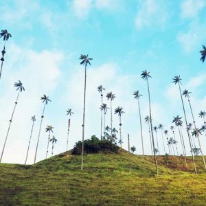 30 Interesting Facts About Colombia: Did You Know?