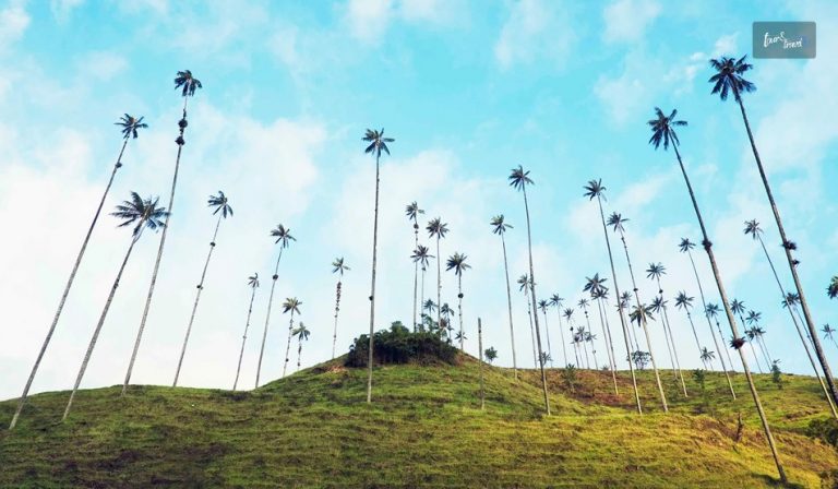 30 Interesting Facts About Colombia: Did You Know?