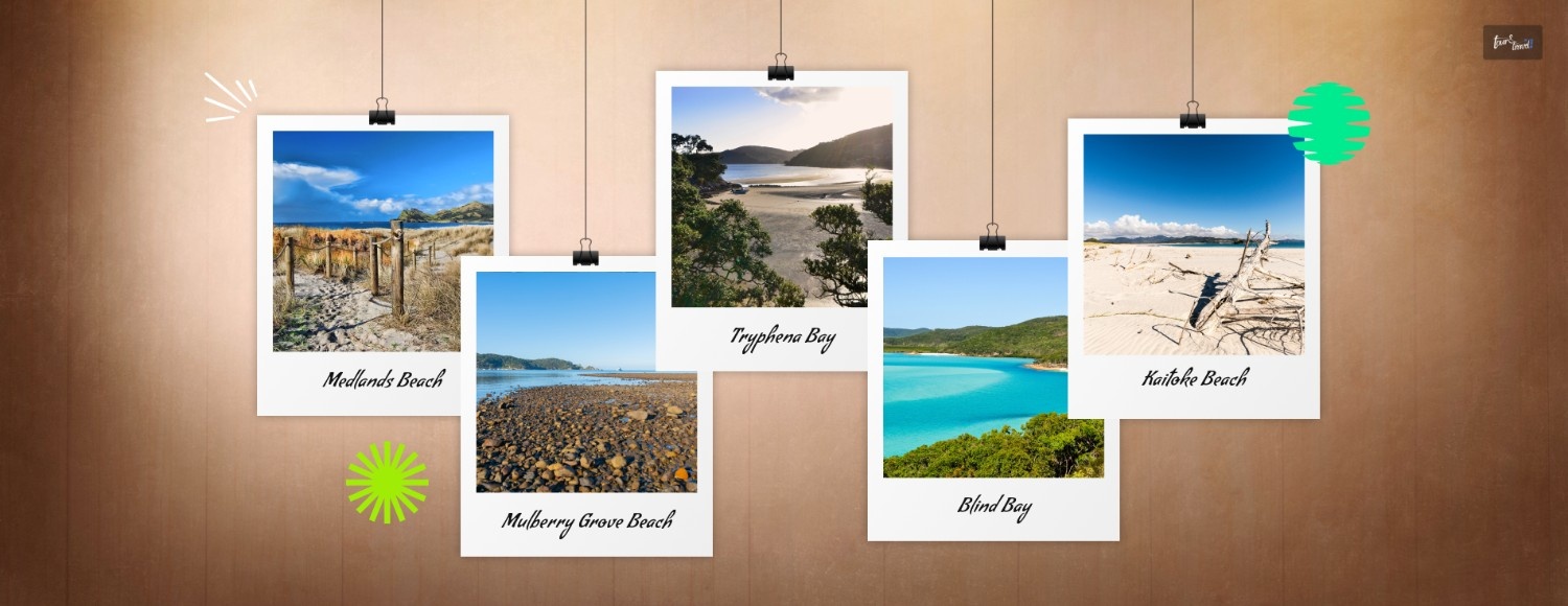 The Great Barrier Island Beach Guide: Know The Best Beaches